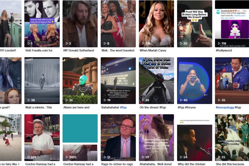 Fun post – Sweet compilation of videos from social media – Foxella